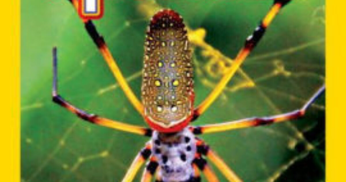 Spiders - Kids Read Now - Kids Read Now