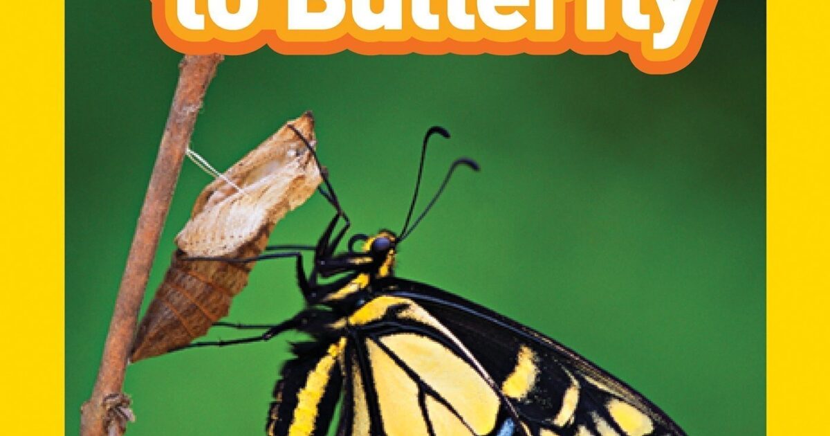 Caterpillar to Butterfly - Kids Read Now - Kids Read Now