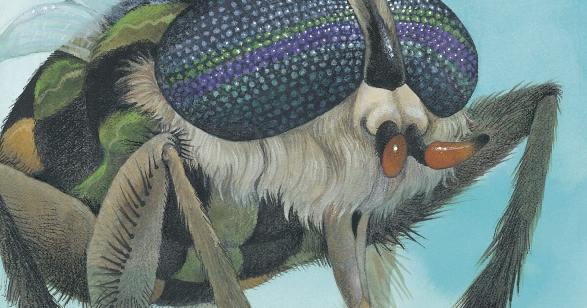 Monster Bugs - Kids Read Now - Kids Read Now