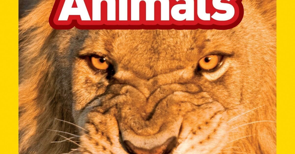 Deadliest Animals - Kids Read Now - Kids Read Now