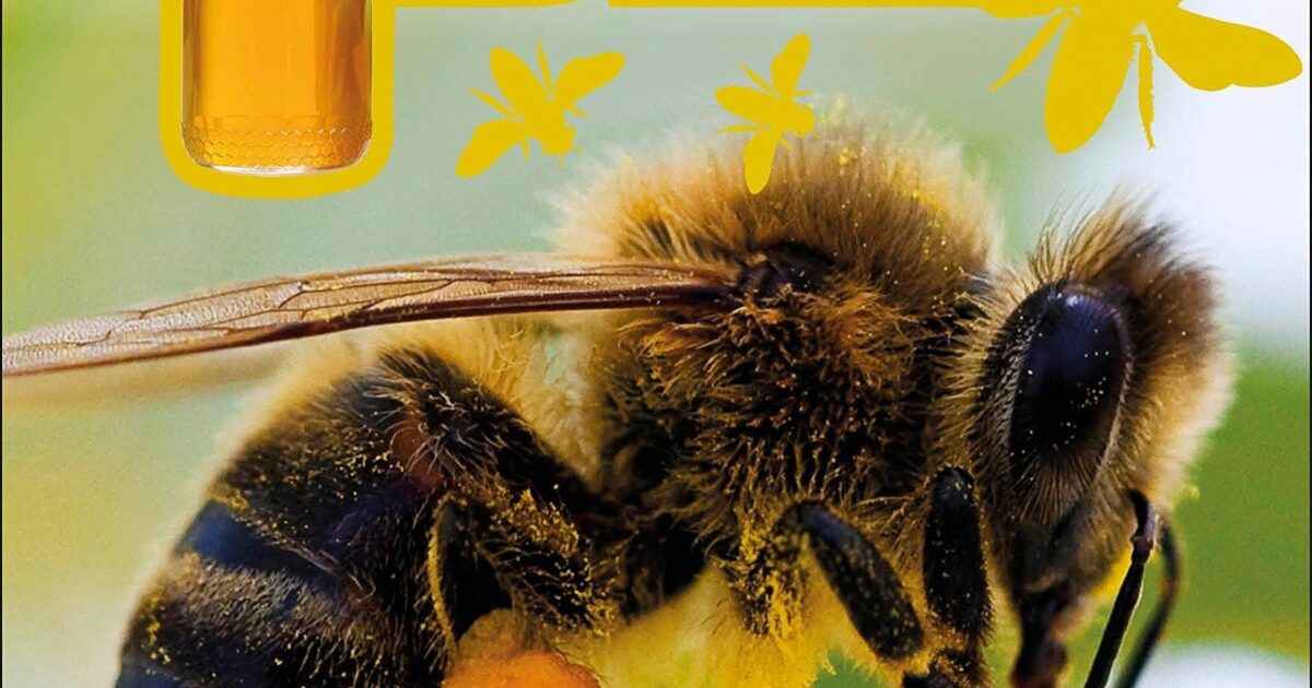 Amazing Bees - Kids Read Now - Kids Read Now