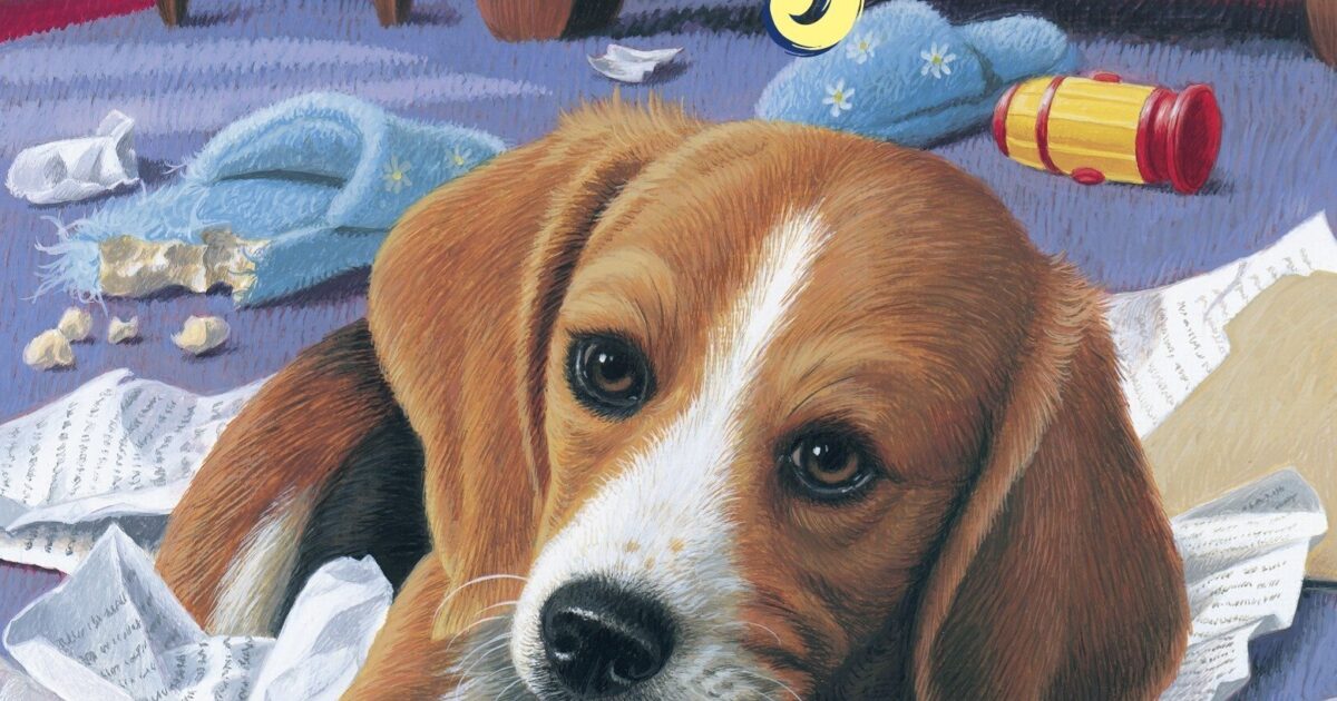 Absolutely Lucy - Kids Read Now - Kids Read Now