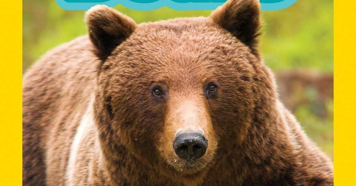 Bears - Kids Read Now - Kids Read Now