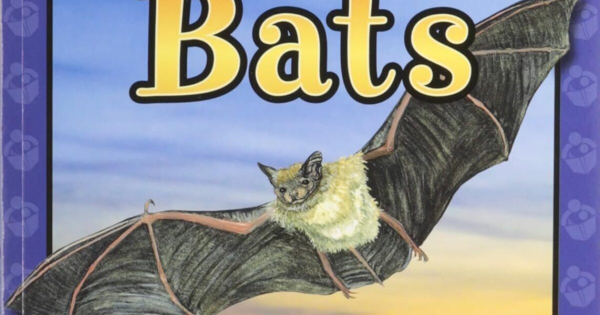 About Bats / Acerca de los murcielagos - Kids Read Now - Kids Read Now
